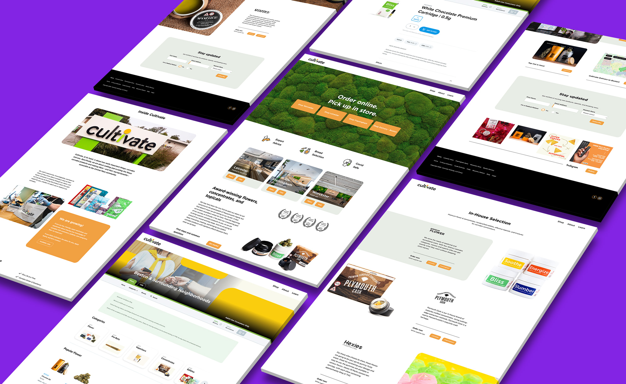 Case Studies | Boston Web Design